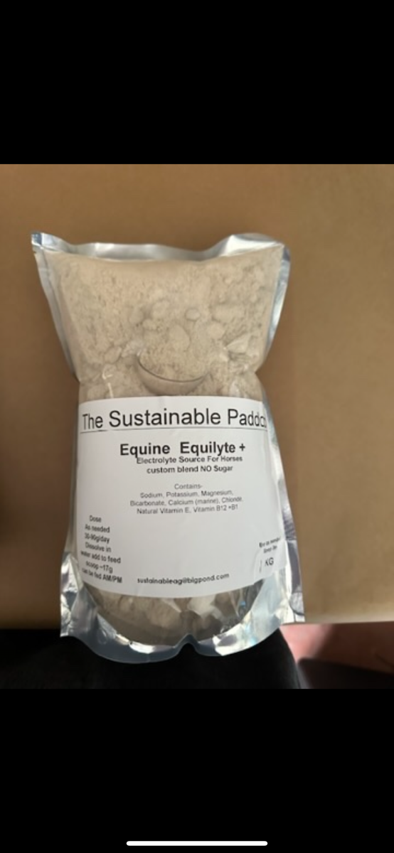 Equine Equilyte Electrolytes + (no sugar) | The Sustainable Paddock
